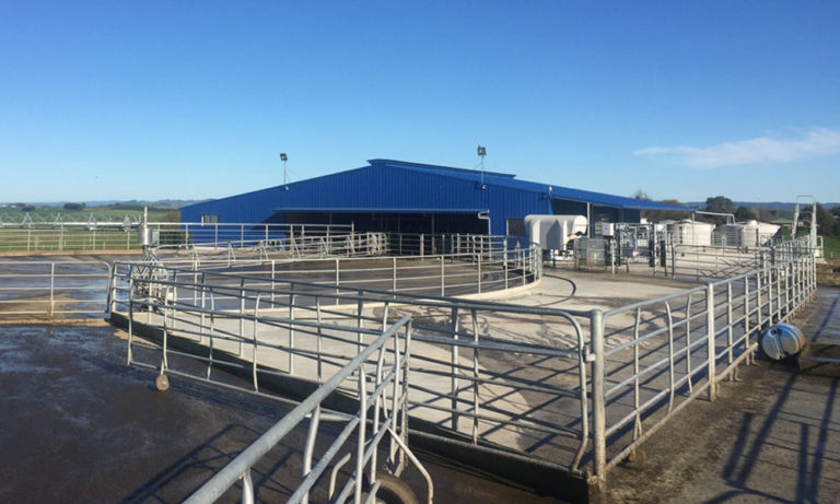 Construction Companies Waikato | Commercial, Rural & Residential Builds